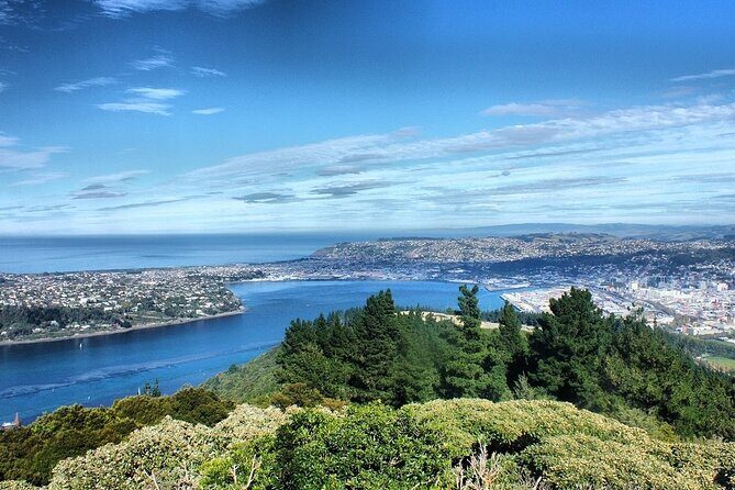 Dunedin Private Fullday Tour - Practical Tips for Future Travelers