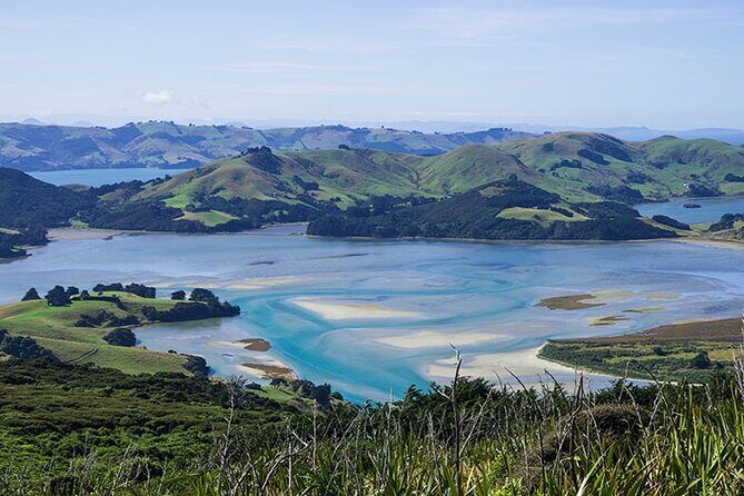 Dunedin Shore Excursion City Sightseeing & Tour of Larnach Castle - The Sum Up