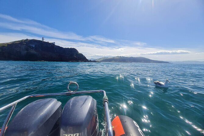 Dunedin Shore Excursion - Sightseeing, Larnach Castle, Chinese Garden & Museum - The Value of This Tour