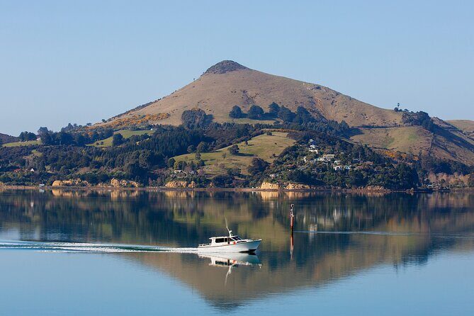Dunedin Shore Excursion - Sightseeing, Larnach Castle, Chinese Garden & Museum - The Sum Up