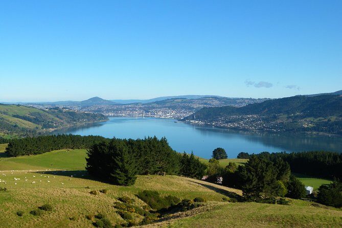 Dunedin Shore Excursion - Sightseeing, Larnach Castle, Chinese Garden & Museum - FAQs