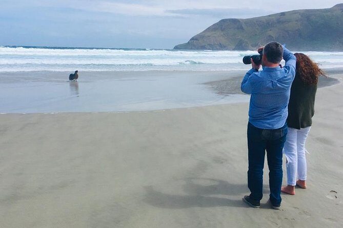 Dunedin Shore Excursion: Small-Group Tour of Dunedin and the Otago Peninsula - An Introduction to Dunedin and Otago Peninsula