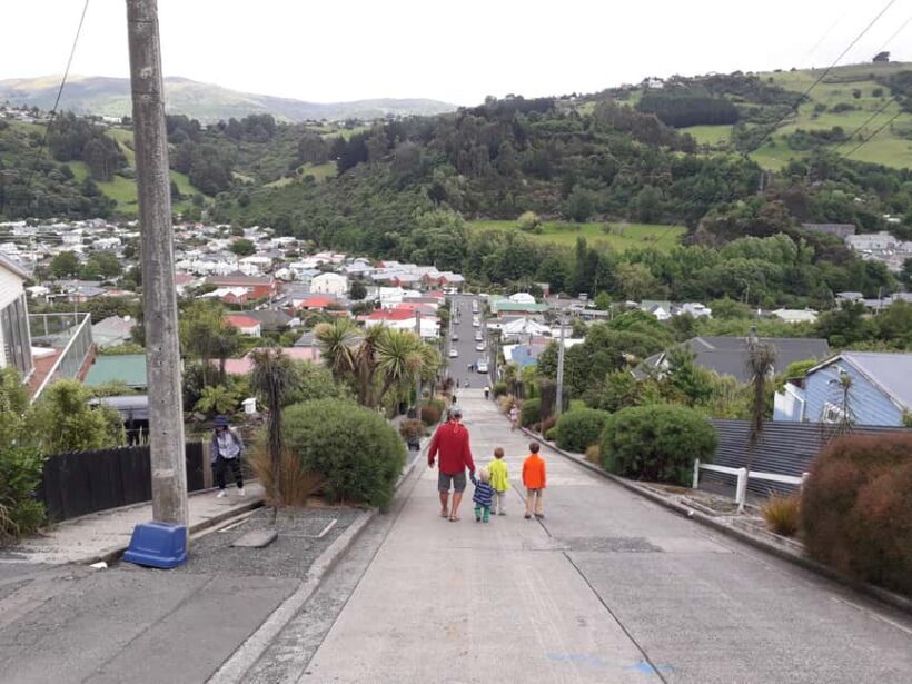 Dunedin: Small Group City Highlights Tour - What Travelers Say
