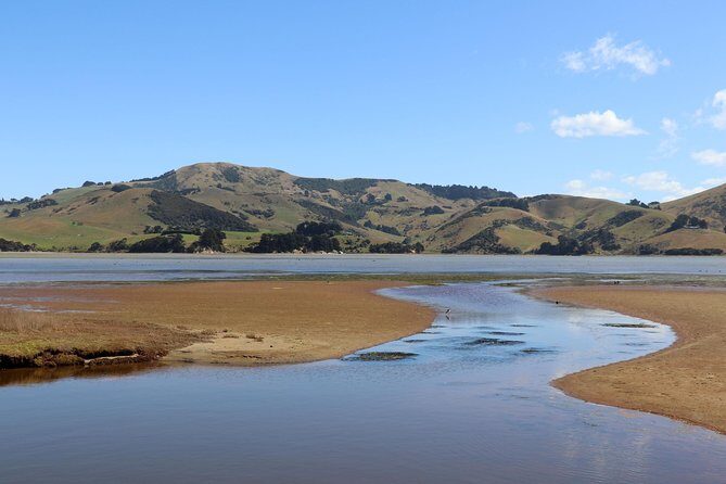 Dunedin to Dunedin Int Airport (DUD) - Departure Private Transfer - Pricing and Value