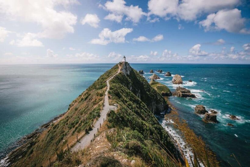Dunedin to Invercargill via the Catlins (one-way tour) - Key Points