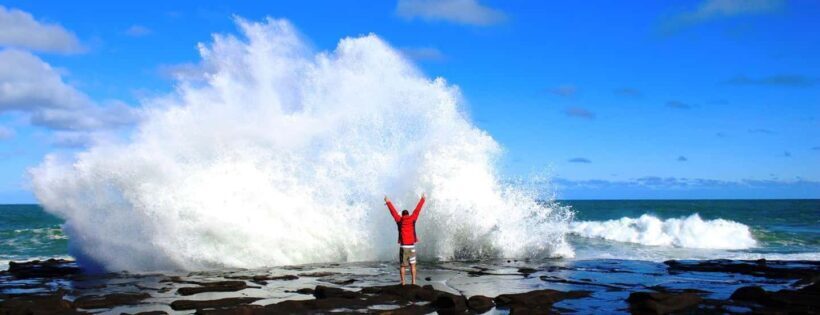 Dunedin to Invercargill via the Catlins (one-way tour) - A Detailed Look at the Tour Itinerary