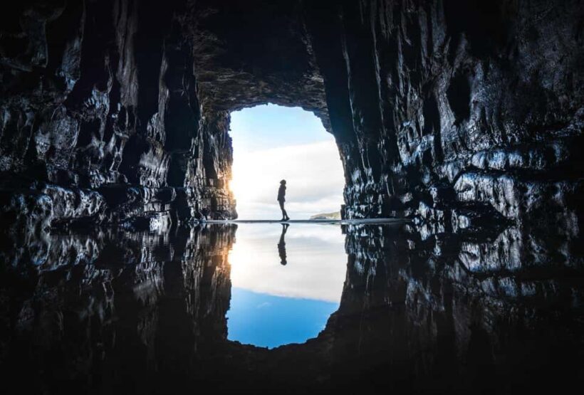 Dunedin to Te Anau via The Catlins & Invercargill 1 Way Tour - Key Points