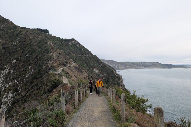 Dunedin to Te Anau via the Catlins One Way Small Group Tour - The Bottom Line