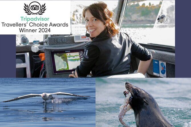 Dunedin Wildlife Cruise-Albatross, seals and harbour - Key Points