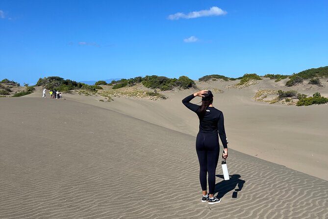 Dunes Snorkeling Tour Outside Santo Domingo - Introduction