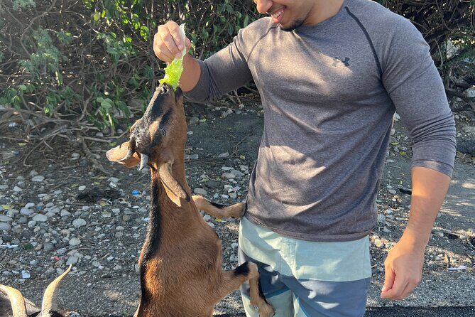 Dunes Snorkeling Tour Outside Santo Domingo - FAQ