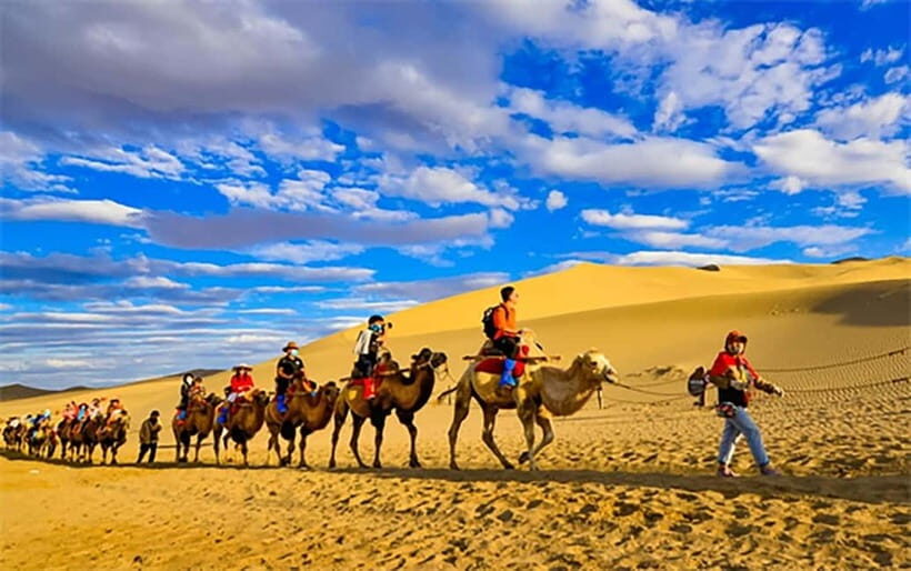 Dunhuang: Mingsha Mountain, Crescent Lake & Museum Tour - Who Is This Tour Best For?