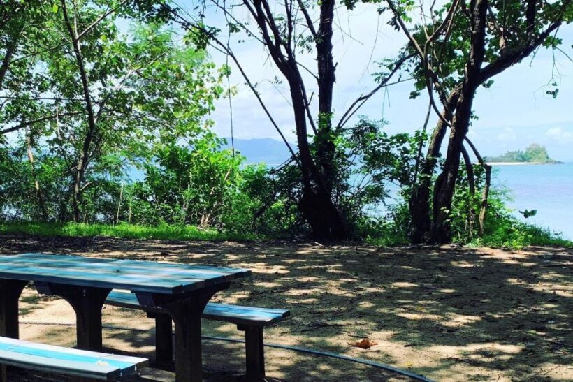 Dunk Island Day Tour | Mission Beach Day Return - The Sum Up
