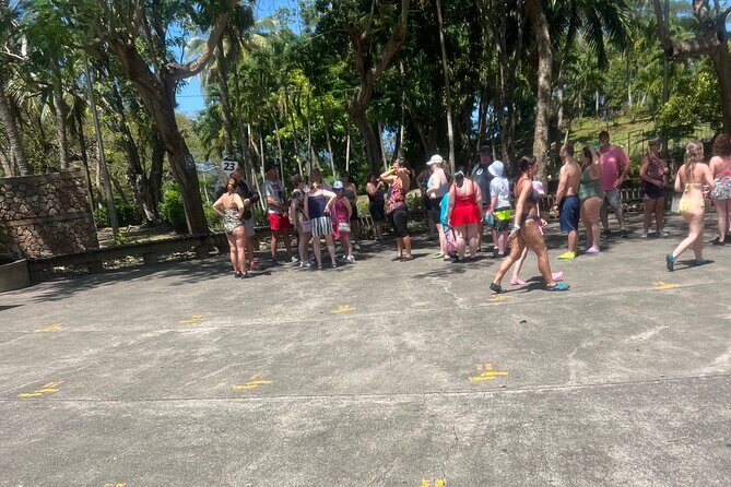 Dunn River Falls from Montego Bay Private Tour - An In-Depth Look at the Dunn’s River Falls Private Tour