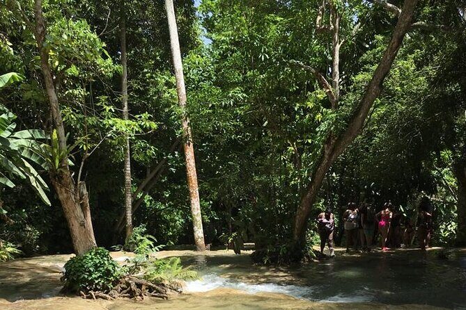 Dunn's River and Blue Hole Tour from Ocho Rios - In The Sum Up
