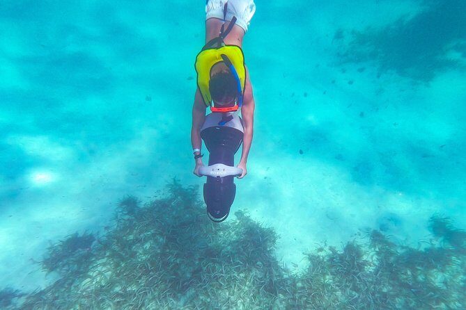 Dunn's River Climb, Zipline and Catamaran Cruise from Ocho Rios - Who Should Consider This Tour?