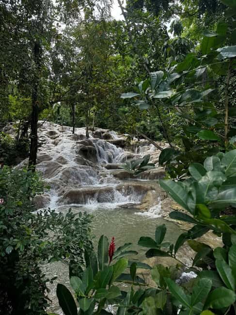 Dunns River Falls Adventure Tour - What Makes This Tour Stand Out?