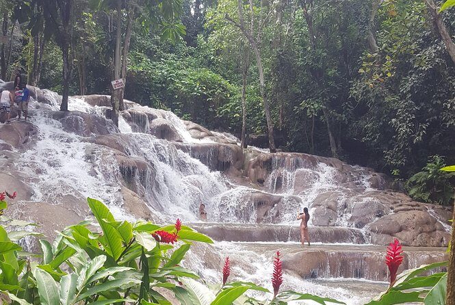 Dunn's River Falls and Beach From Ocho Rios Jamaica - Who Should Consider This Tour?