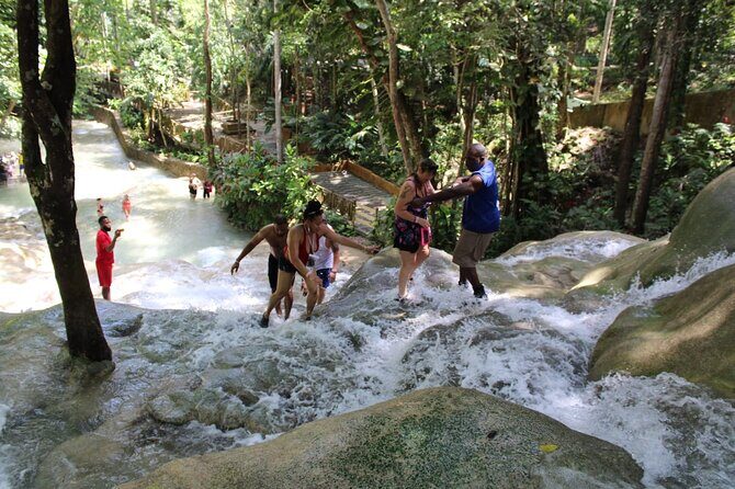 Dunn's River Falls and Blue Hole Day Tour - Who Is This Tour Best For?