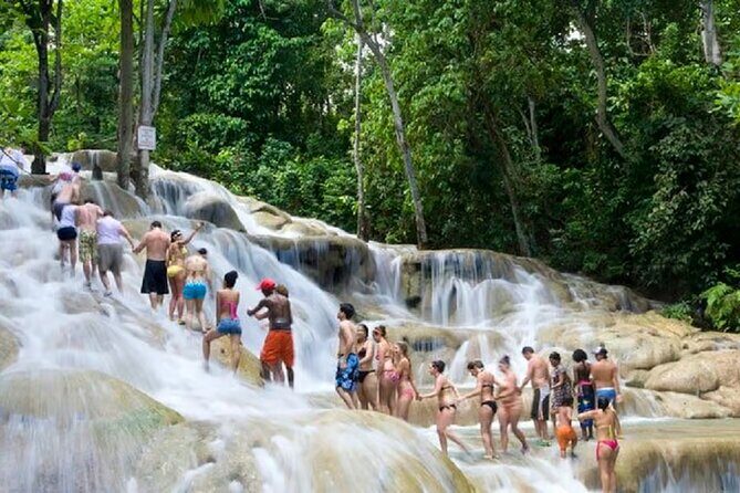 Dunn's River Falls and Blue Hole Islsnd Gully Combo - Authentic Experiences and What Travelers Say