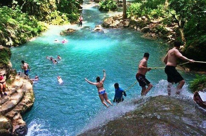 Dunn's River Falls and Blue Hole Private Tour from Ocho Rios - What Makes This Tour Stand Out?