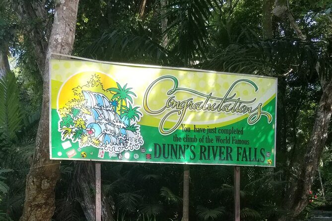 Dunn's River Falls and Blue Hole Private Transportation - Key Points