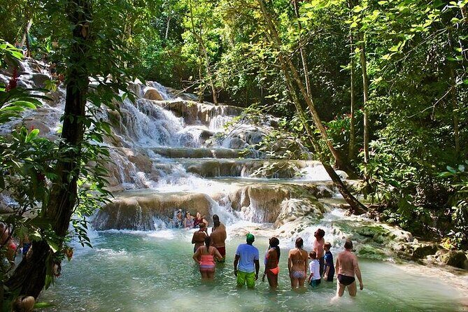 Dunn's River Falls and Blue Hole Tour from Montego Bay - Who Will Love This Tour?