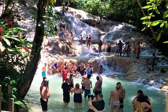 Dunn's River Falls and Fern Gully Highlight Adventure Tour from Runaway Bay - Key Points