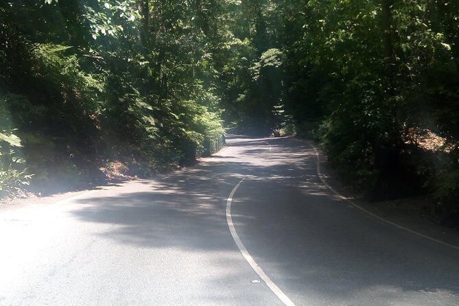 Dunn's River Falls and Fern Gully Highlight Adventure Tour from Runaway Bay - Authenticity and Value