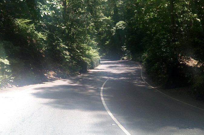 Dunn's River Falls and Fern Gully Highlight Adventure Tour from Runaway Bay - What Travelers Are Saying