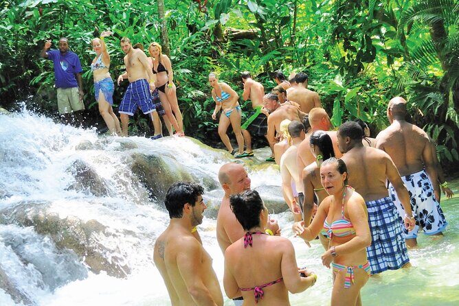 Dunns River Falls and Green Grotto cave Private tour - An In-Depth Look at the Experience