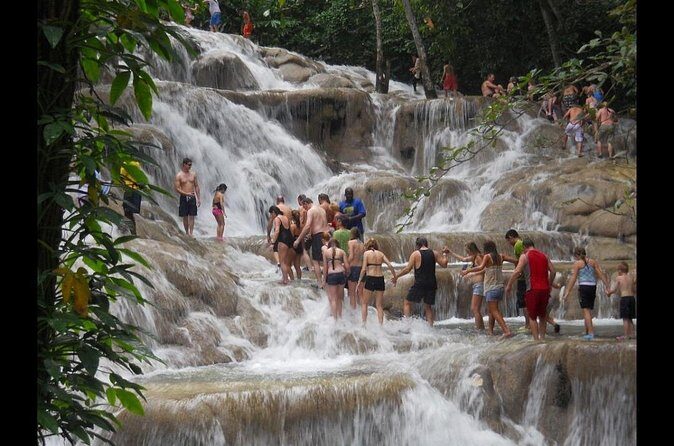 Dunns River Falls and Green Grotto Caves - What Travelers Say: Authentic Voices