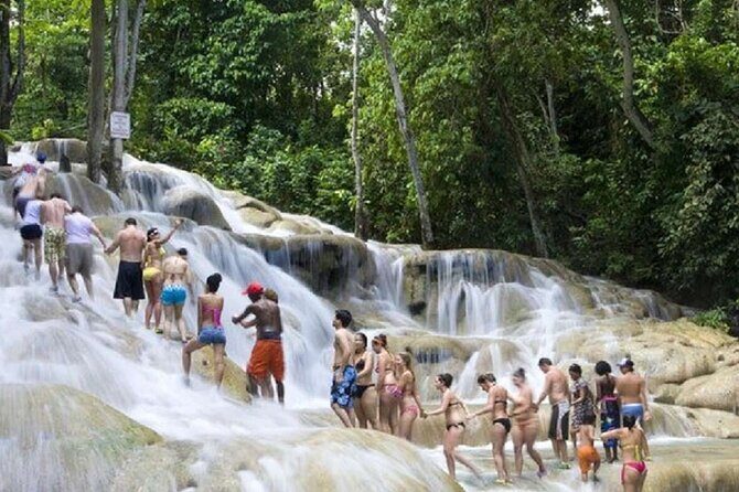 Dunn's River Falls and Horse Back Riding Excursion - Who Is This Tour Best For?
