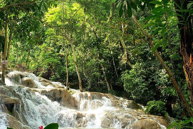 Dunns River Falls and Horseback Riding Tour from Montego Bay - Authentic Experiences and Value