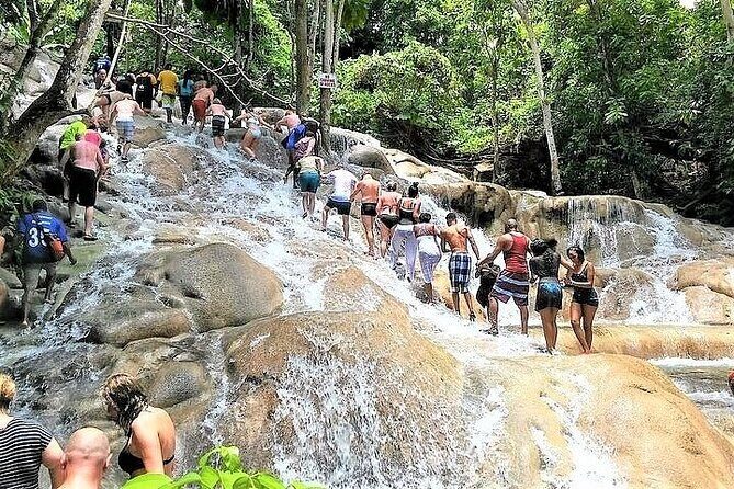 Dunn's River Falls and Horseback Riding Tour from Montego Bay - The Sum Up: Perfect for Nature Lovers and Adventure Seekers
