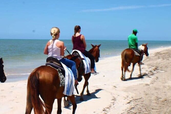 Dunn's River Falls and Horseback Riding Tour from Montego Bay - The Sum Up