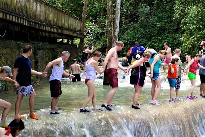Dunn's River Falls and Luminous Lagoon Guided Tour from Grand Palladium - Discovering Jamaica on a Guided Tour: Dunn’s River Falls & Luminous Lagoon from Grand Palladium