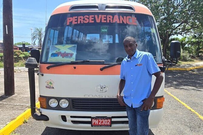 Dunn's River Falls and OchoRios Highlight View Scenic Fern Gully - Authentic Experiences & Reviews