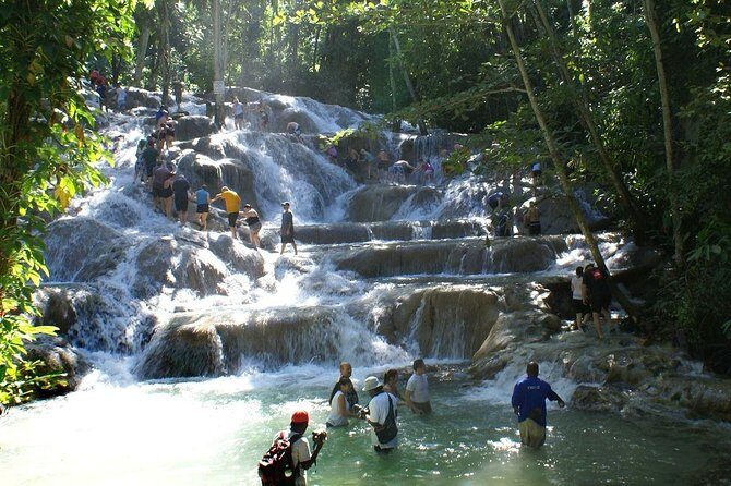 Dunns River Falls and Park Private Tour - What to Expect at Dunns River Falls and Park