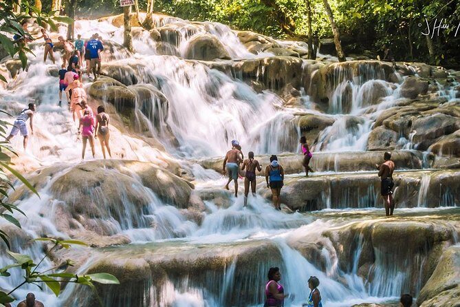 Dunns River Falls and Park Private Tour - Pricing and Value