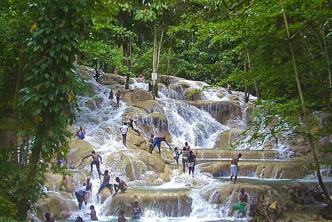 Dunns River Falls and Park Private Tour - Authentic Traveler Insights