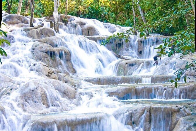 Dunn's River Falls and Park Tour with Zip Line from Montego Bay - An In-Depth Look at the Tour