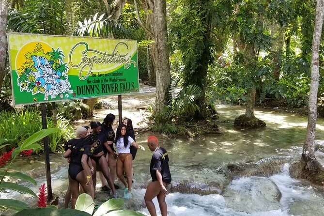 Dunn's River Falls and Shopping Tour from Montego Bay - Key Points