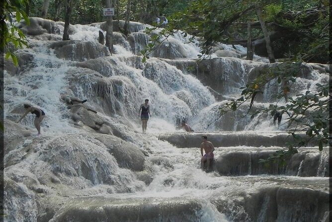 Dunns River Falls and Zipline Adventure from Kingston - Key Points