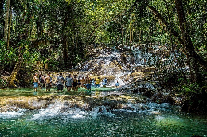 Dunns River Falls and Zipline with Roundtrip Transfers - Authentic Experiences and Traveler Insights