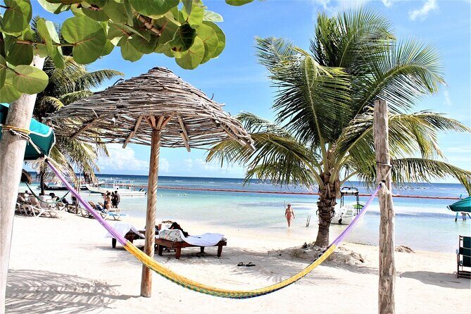 Dunn's River Falls, Beach Tour Ocho Rios (Entry fee included) - Who Should Consider This Tour?