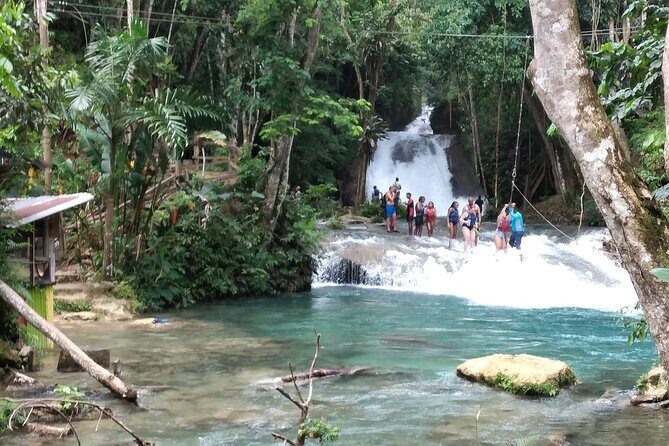 Dunn's River Falls & Blue Hole from Montego Bay or Falmouth - Deep Dive into the Experience