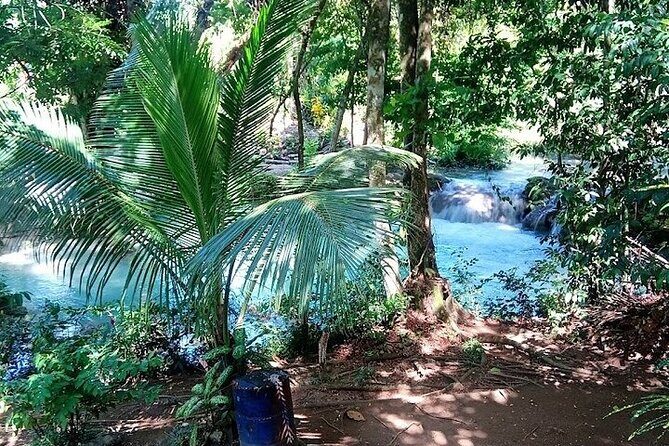 Dunns River Falls & Blue Hole in ocho Rios frm Negril/Montego Bay - The Sum Up