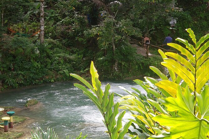 Dunn's River Falls & Blue Hole Tour from Montego Bay - The Sum Up: Who Will Love This Tour?