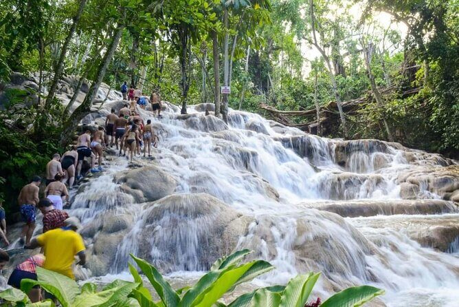 Dunn's River Falls & Bob Marley Nine Mile Ocho Rios Combo Tour - Practical Details: What to Expect from the Tour